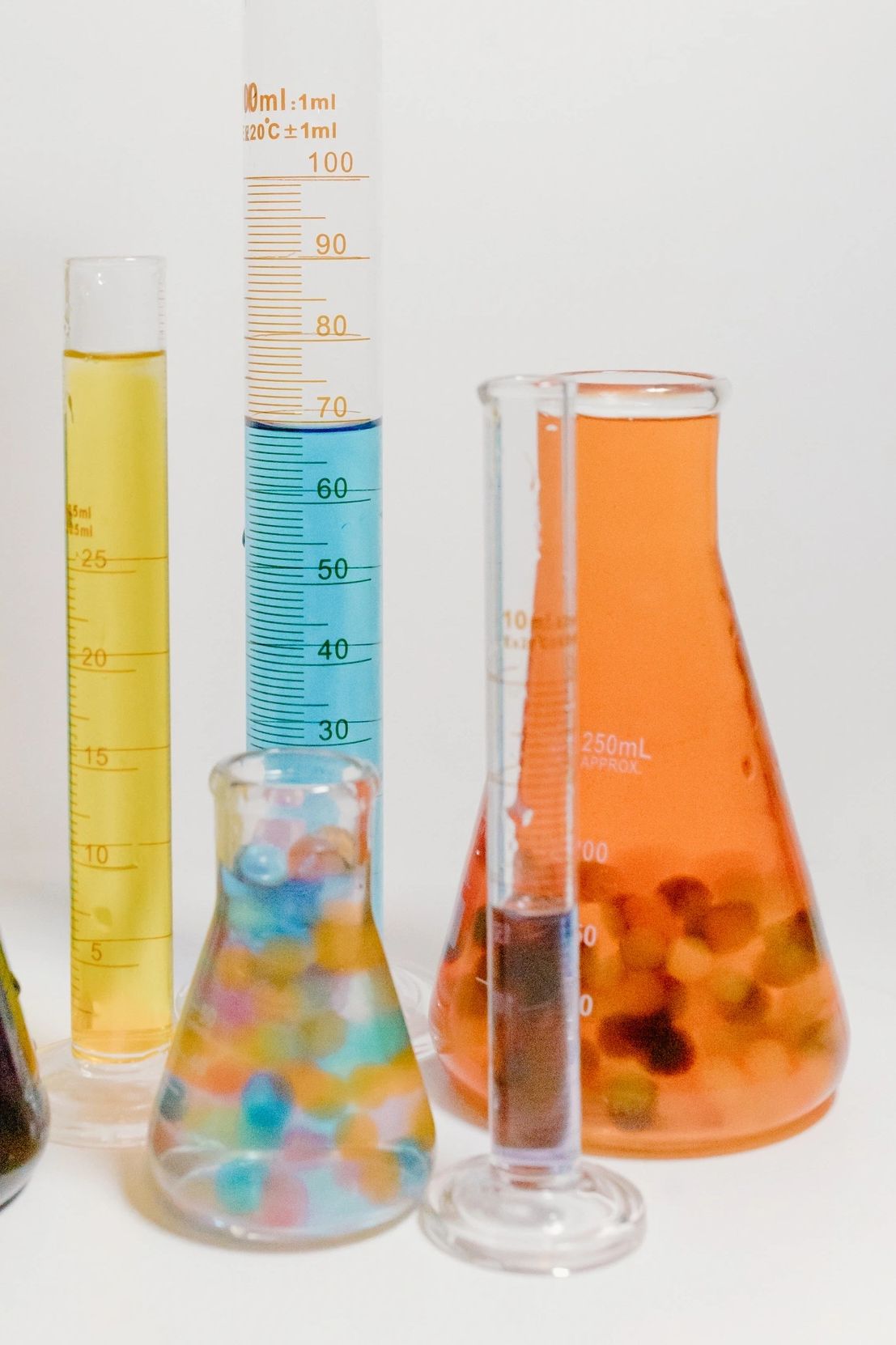 Structure And Function Of The Science Curriculum Key Insights From